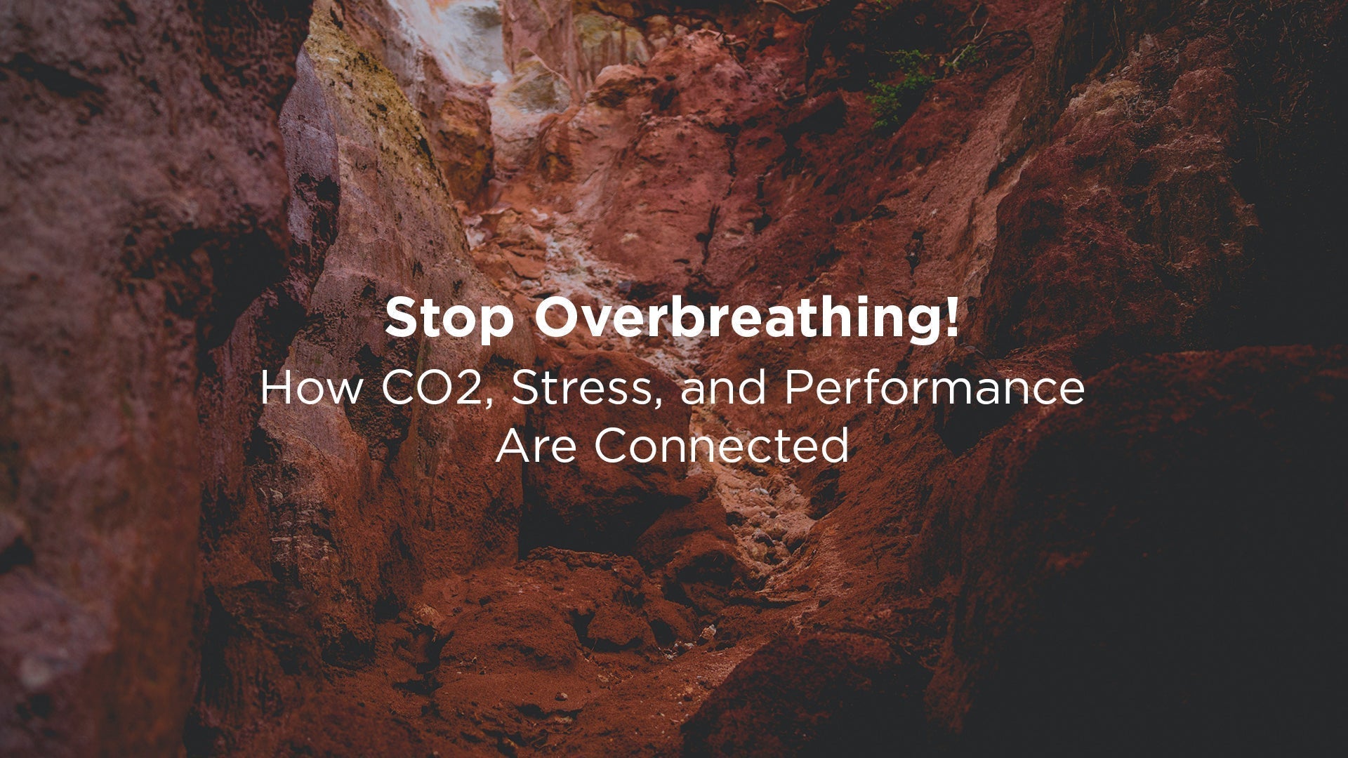 Stop Overbreathing! How CO2, Stress, and Performance Are Connected ...