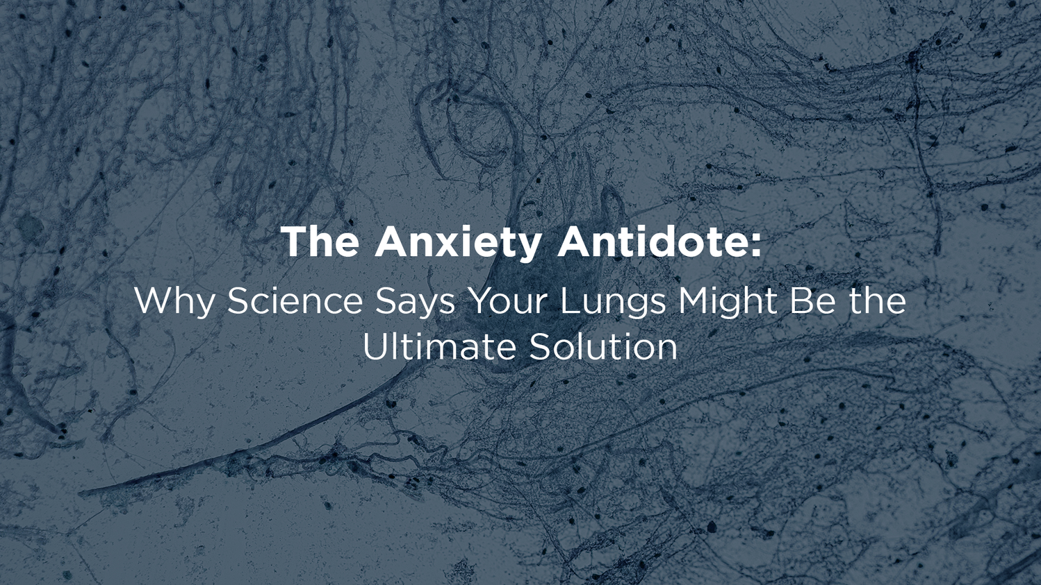 The Anxiety Antidote: Why Science Says Your Lungs Might Be the Ultimat – Conscious Breathing ...