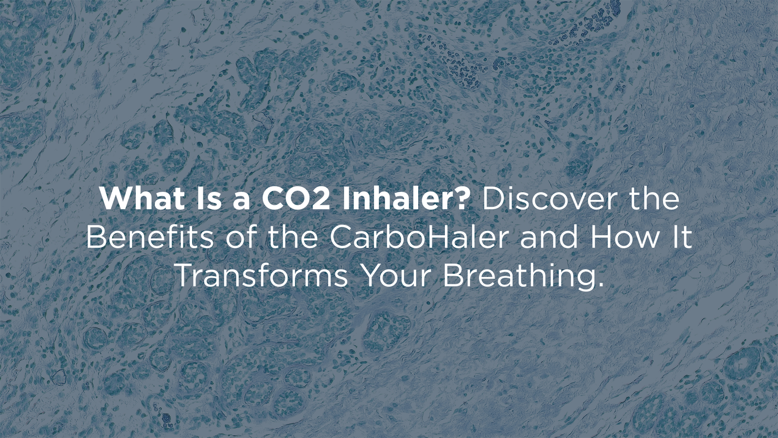 What is a CO2 Inhaler? Benefits, How It Works, and Why People Love the ...