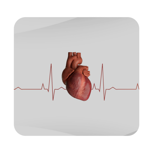 The Relaxator Breath Trainer - Instant Stress Reduction – Conscious ...